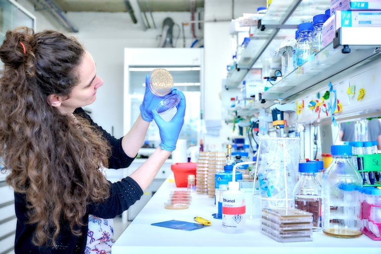 Impressions – Leidel Group