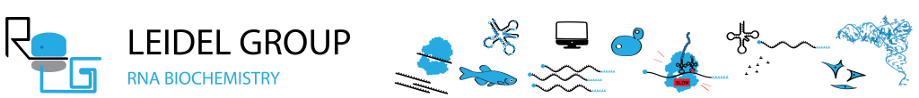 Leidel Group – RNA Biochemistry