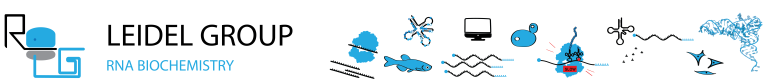 Leidel Group – RNA Biochemistry